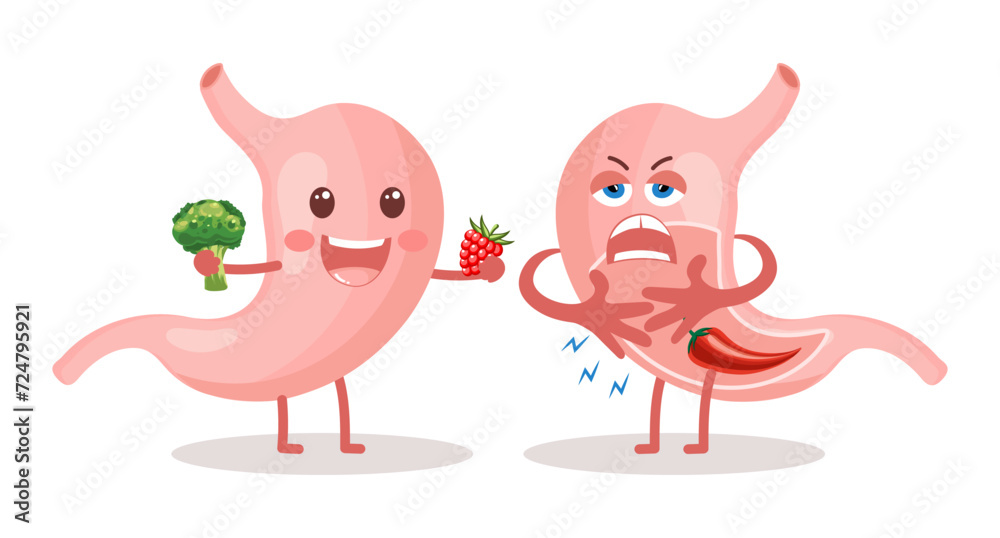 Healthy and unhealthy human stomach characters in cartoon flat style ...