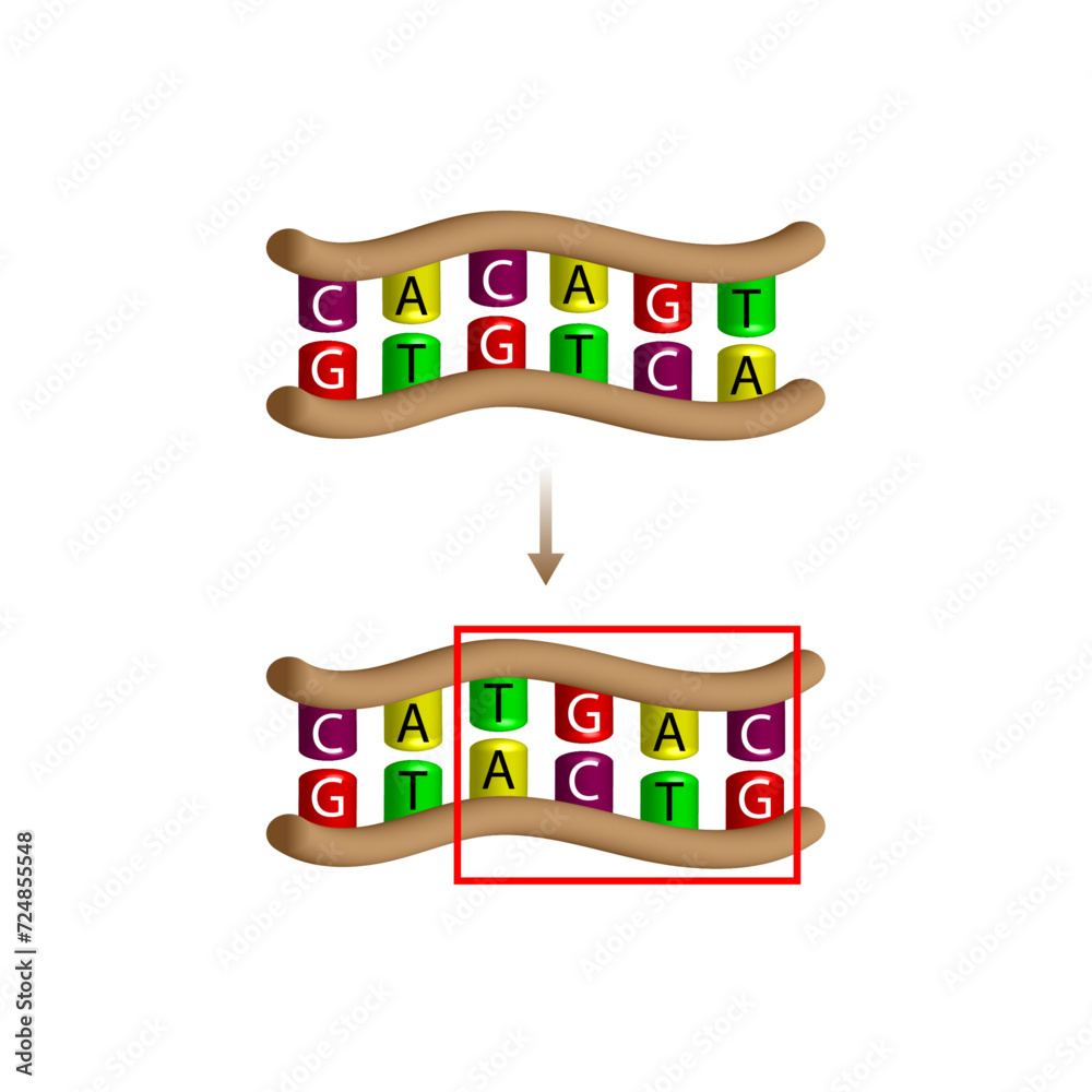 Inversion mutation, section of DNA Genomics breaks away from a ...