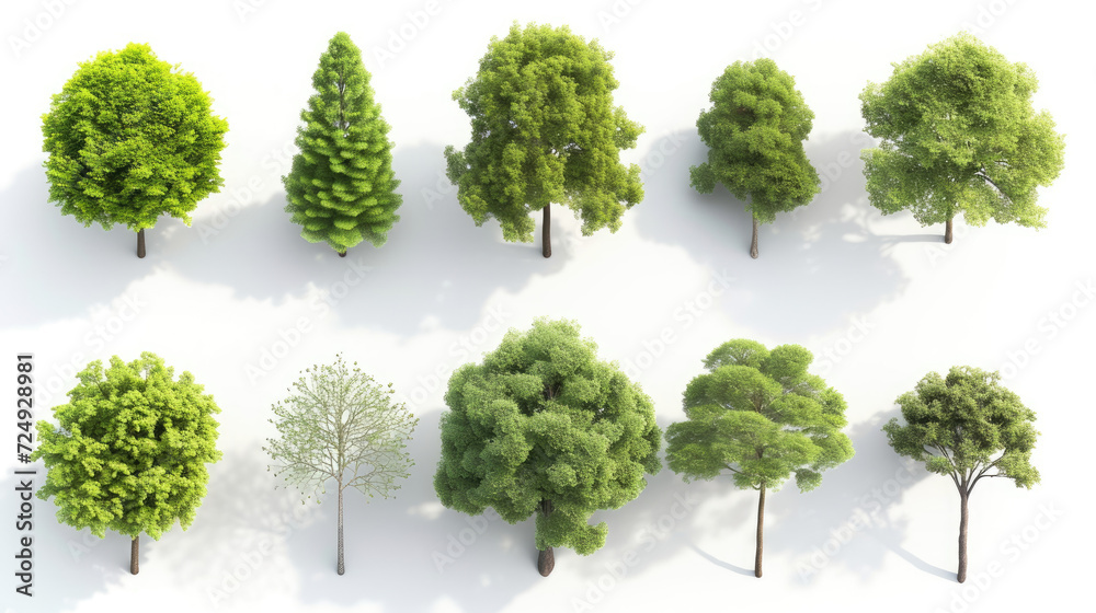 Environmental outside eco trees shapes collections isolated on ...