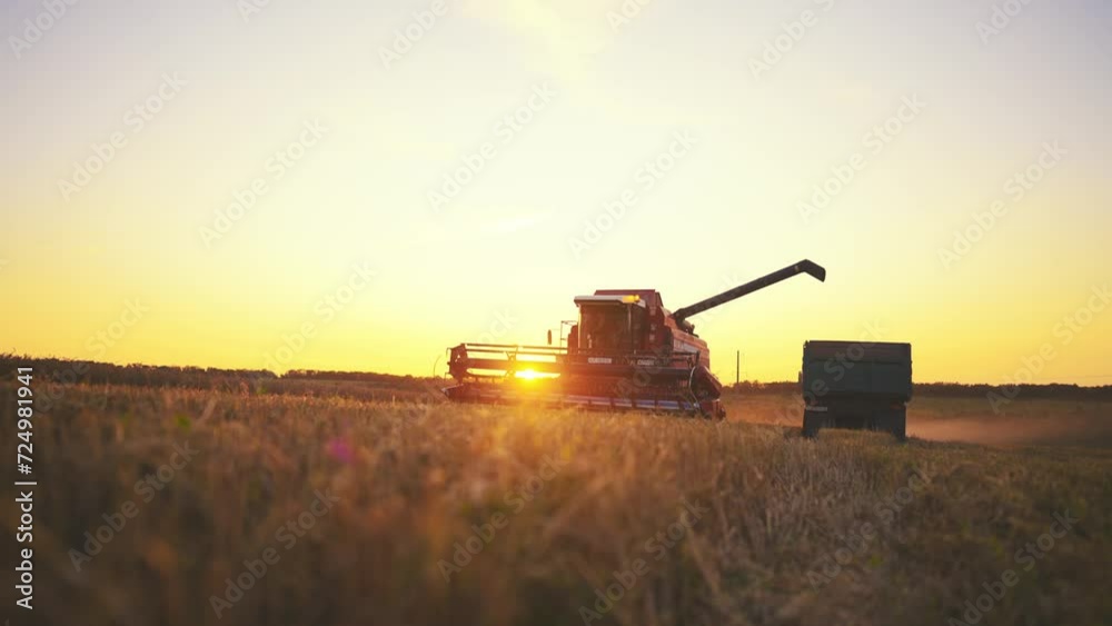 Loading grain from grain harvester combine to truck lorry on farm field ...