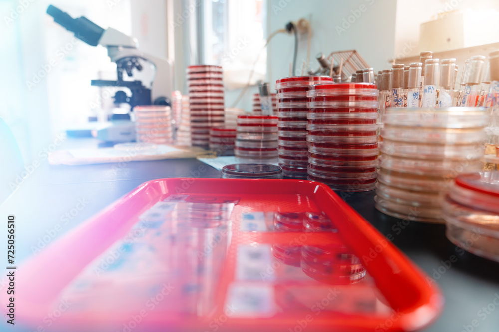 Petri Dishes and Contact Plates. Sterile Bacteria Culture Bowl with Lid ...