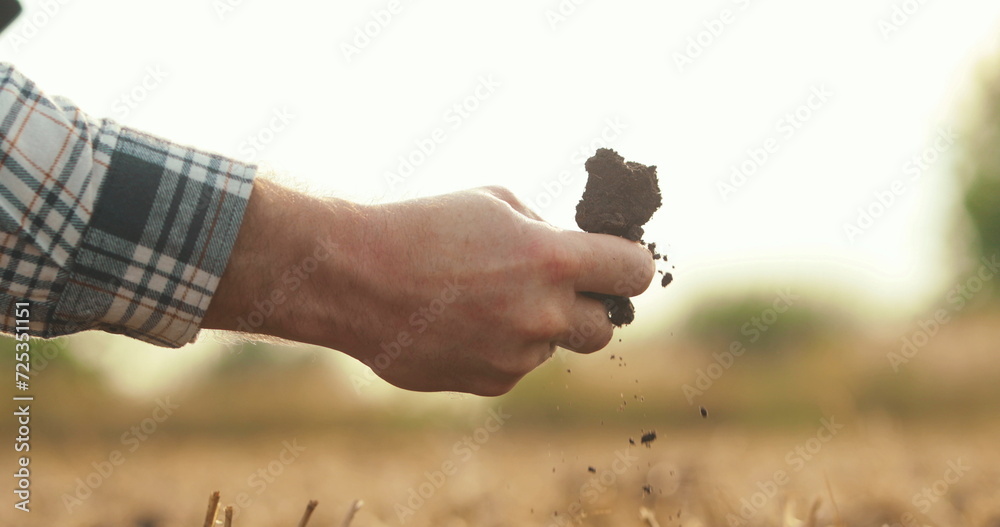 Side view: male hands touching soil on field. A close-up of a farmer ...