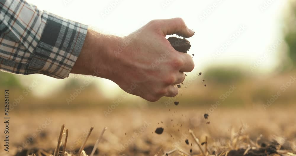 Side view: male hands touching soil on field. A close-up of a farmer ...
