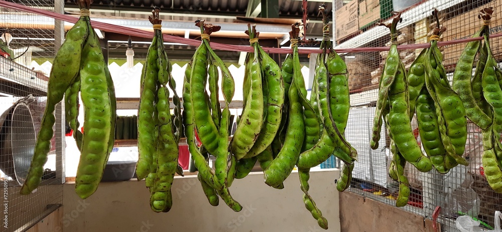 Petai or Pete or Green stink bean (Parkia speciosa) is vegetable ...