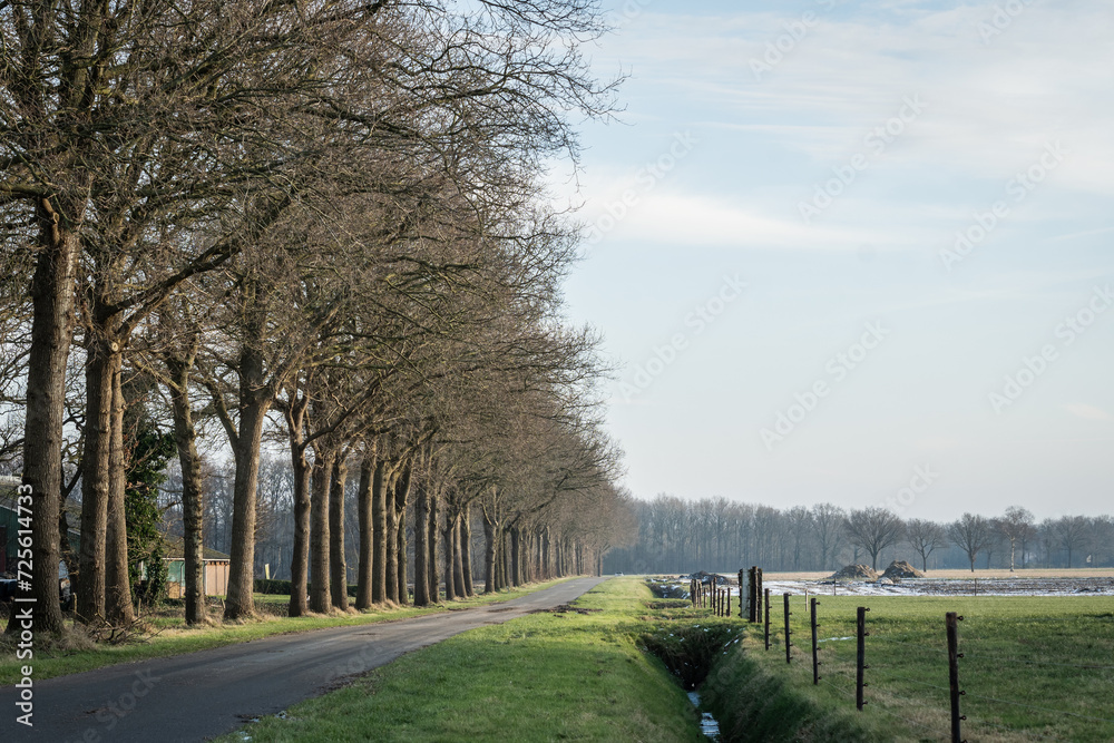 Foto de typical scene of Dutch Drenthe platteland farm land ...