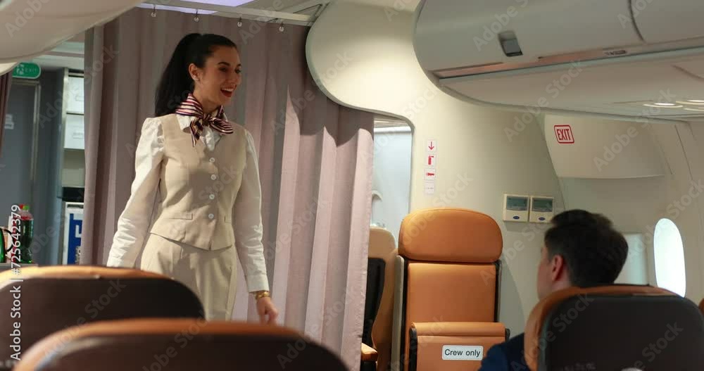 Stewardess taking care passenger. Cabin crew, air hostess working in ...
