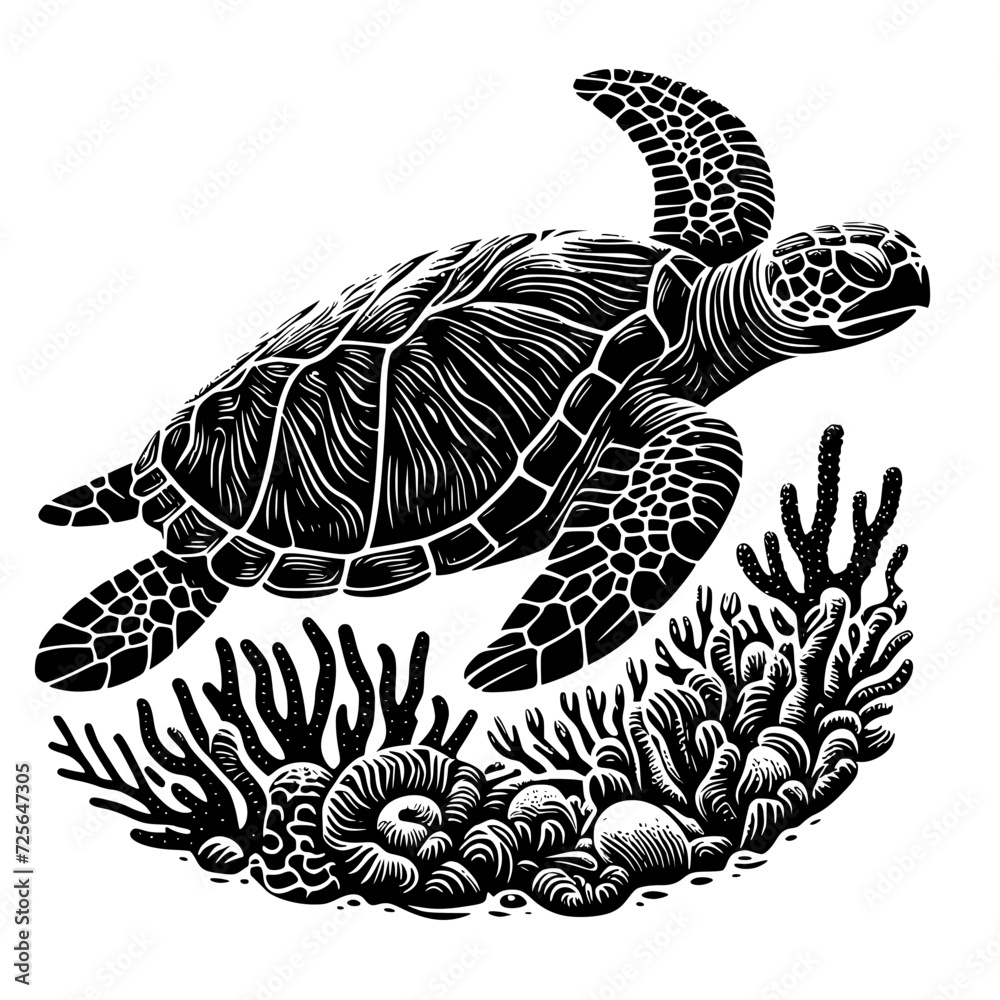 Sea Turtle , Sea Turtles, Turtle, Tortoise, Sea Turtle scene, Sea ...