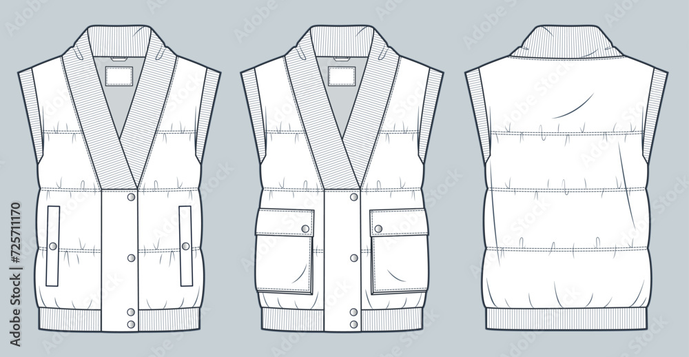 Vetor de Down Jacket Vest technical fashion Illustration. Puffer Vest ...