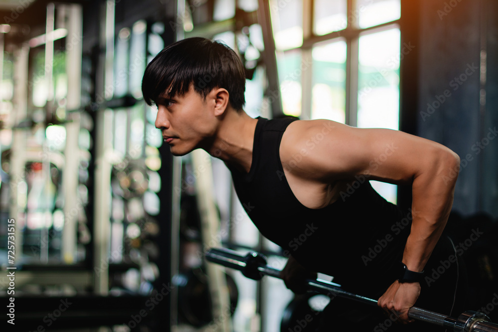 Lifting dumbbell exercises builds strong upper arm muscles. Exercise ...