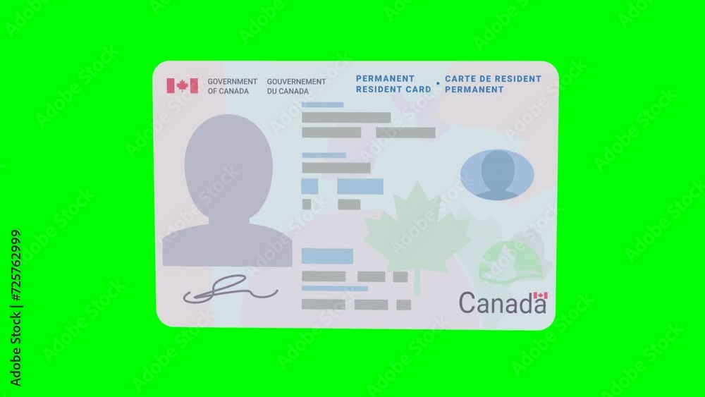 Vidéo Stock Appearance of a Canadian permanent resident card, from left ...