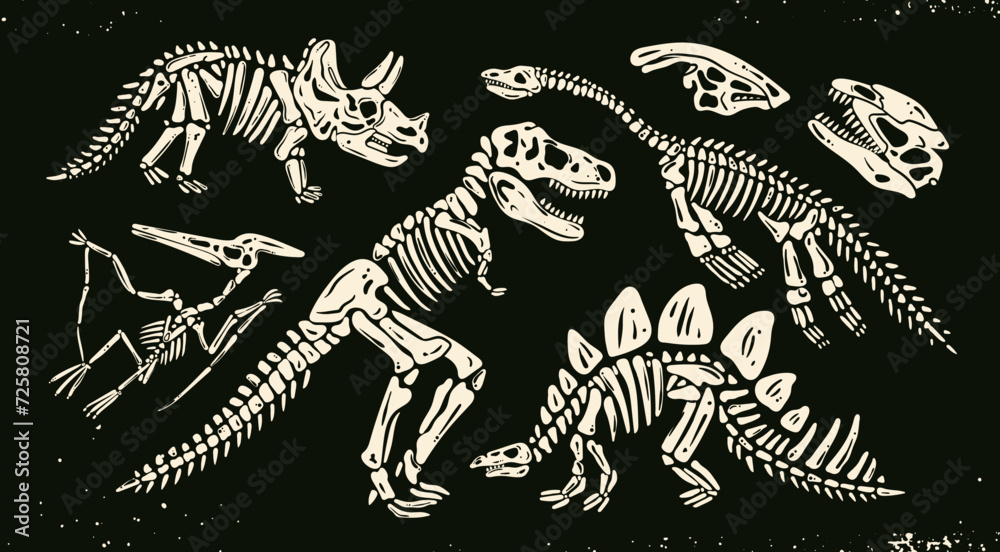 Dinosaur skeleton set. Collection of various bones of prehistoric ...