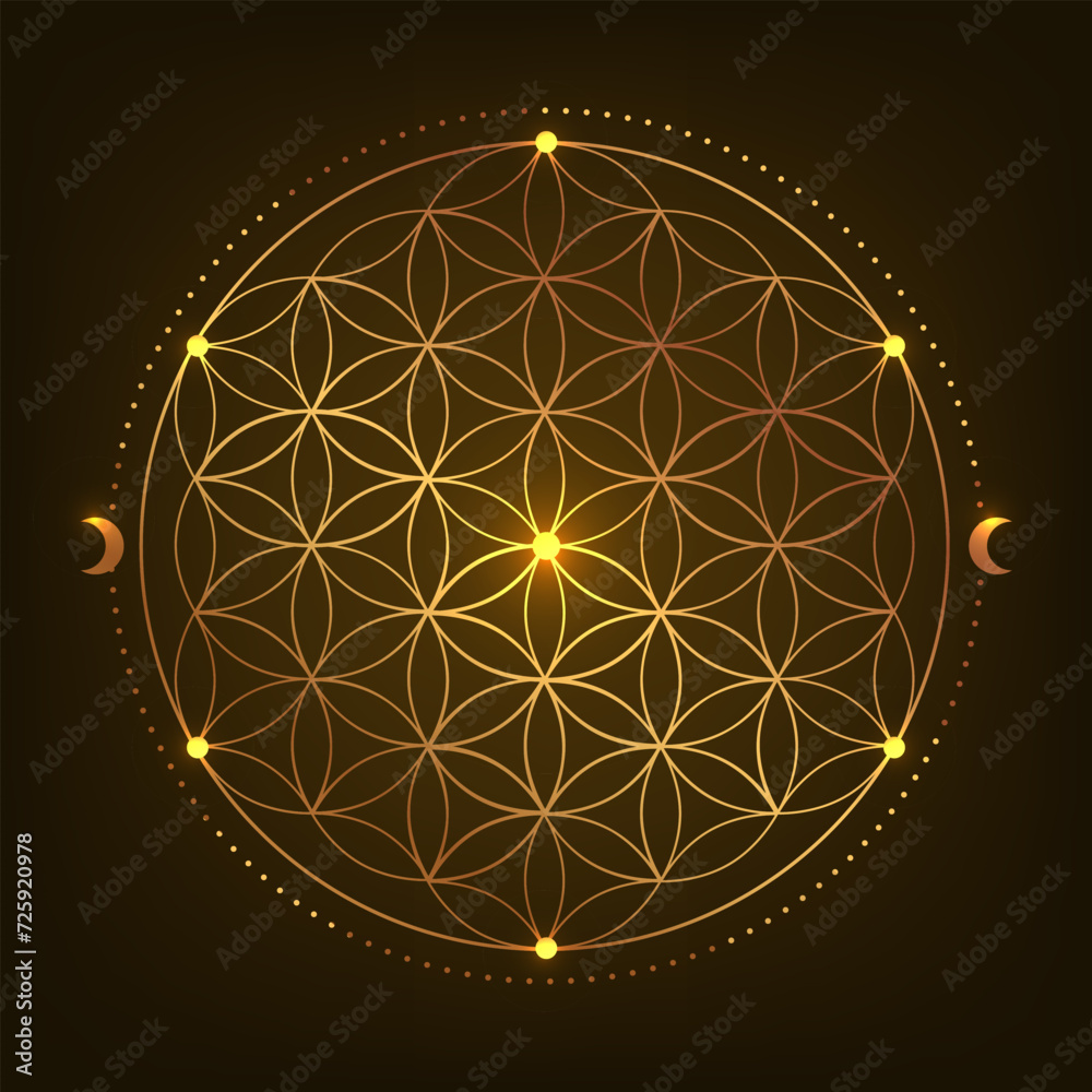 Sacred Geometry Symbol. Vector illustration. Mystic esoteric Flower of ...