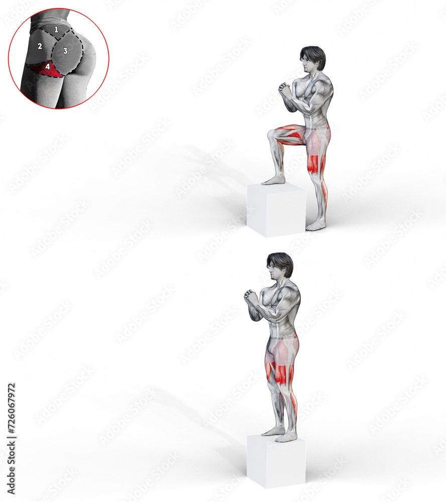 849 Climbing the stairs with closed hands. 3D Anatomy of fitness and ...