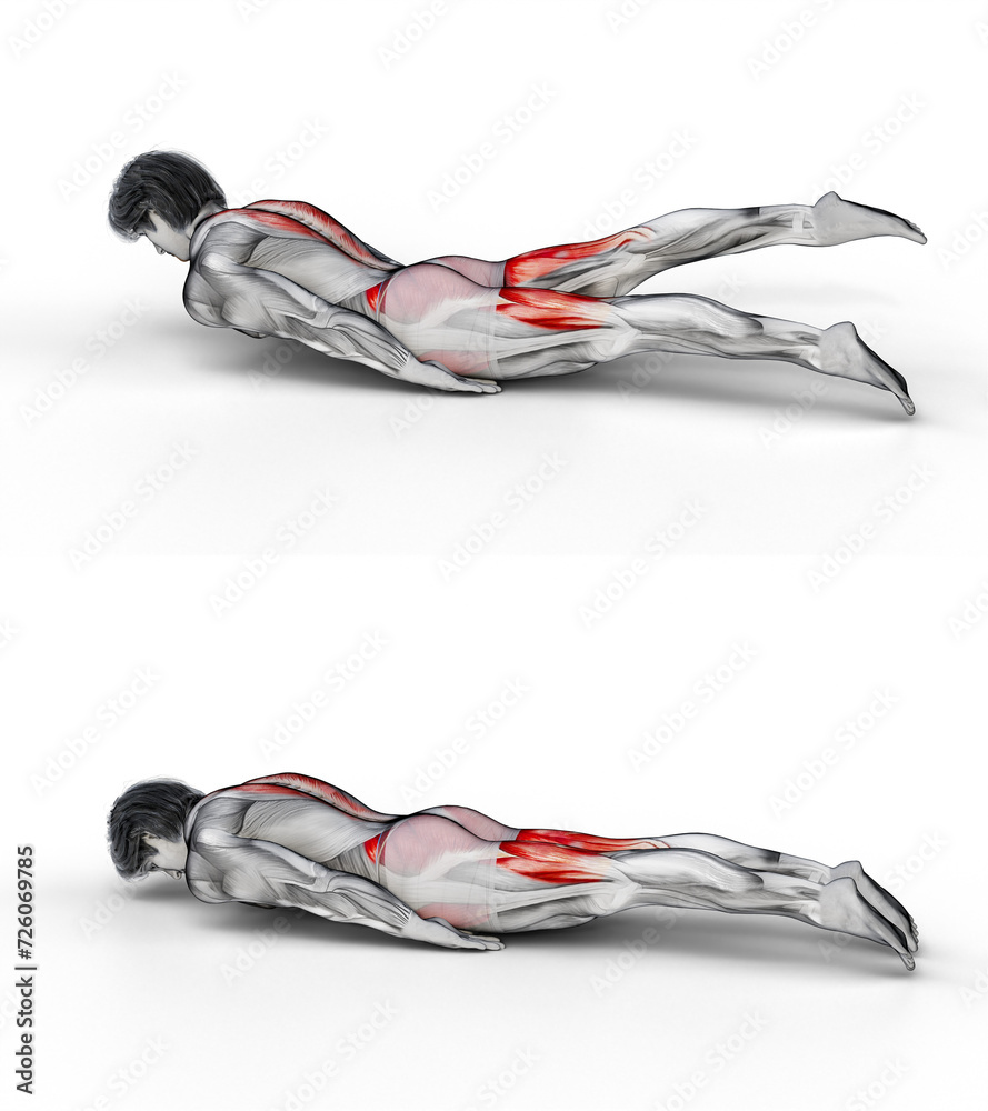 909 Swimmer Kicks. 3D Anatomy of fitness and bodybuilding. An ...