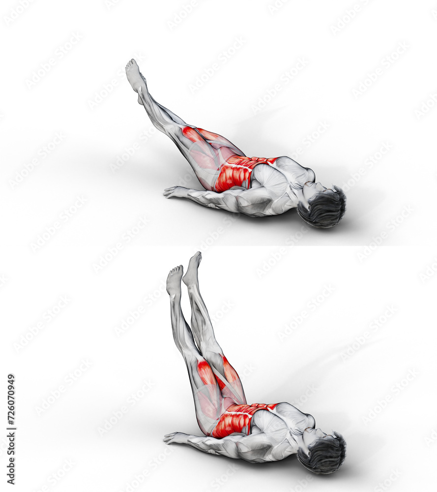 886 Criss Cross Leg Raises. 3D Anatomy of fitness and bodybuilding. An ...
