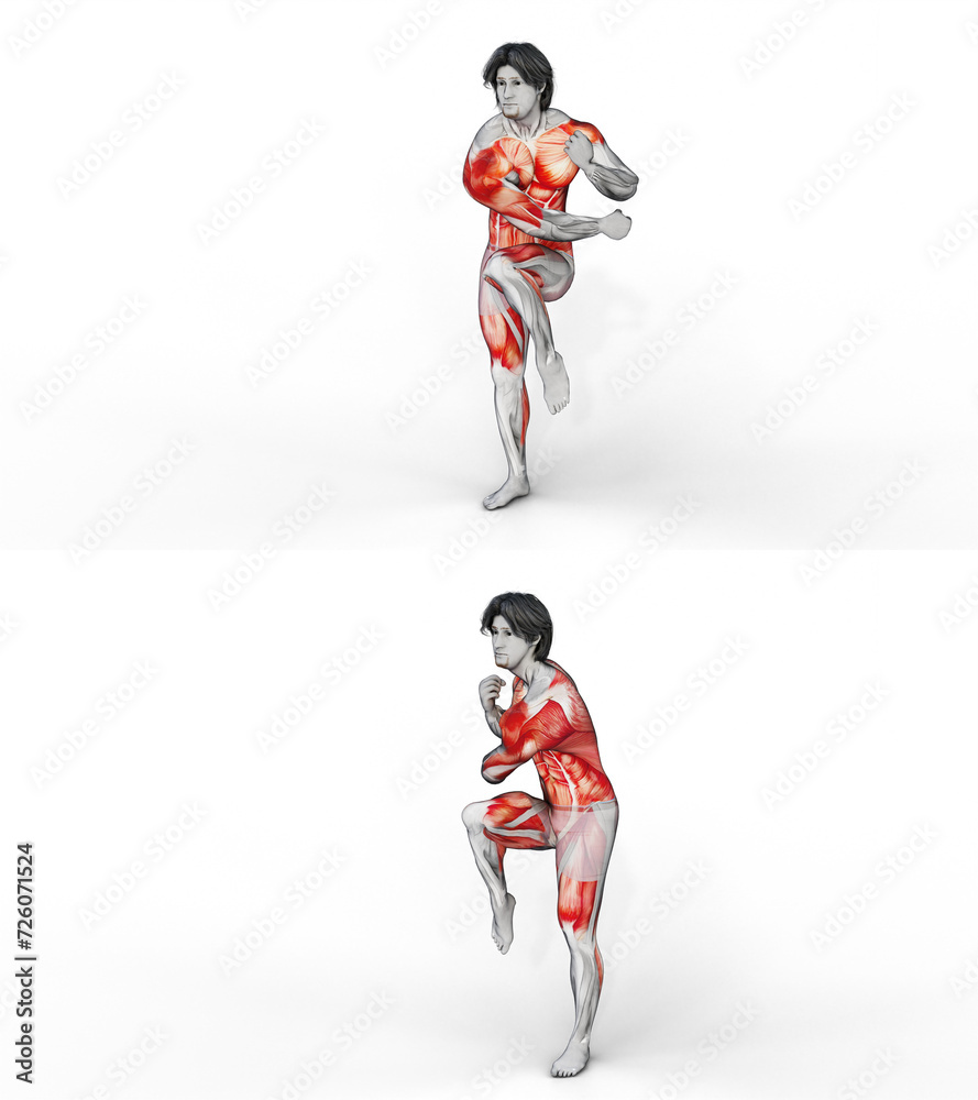 872 Knee Rise Side Jab. 3D Anatomy of fitness and bodybuilding. An ...