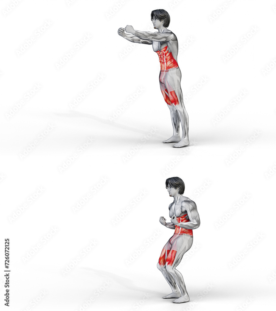 859 Celebratory Hip Thrust. 3D Anatomy of fitness and bodybuilding. An ...