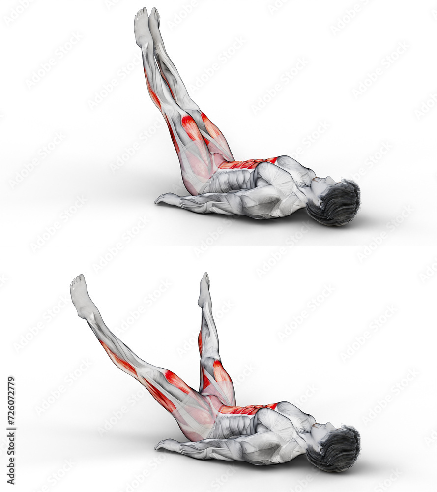 837 Abduction Leg Raises. 3D Anatomy of fitness and bodybuilding. An ...