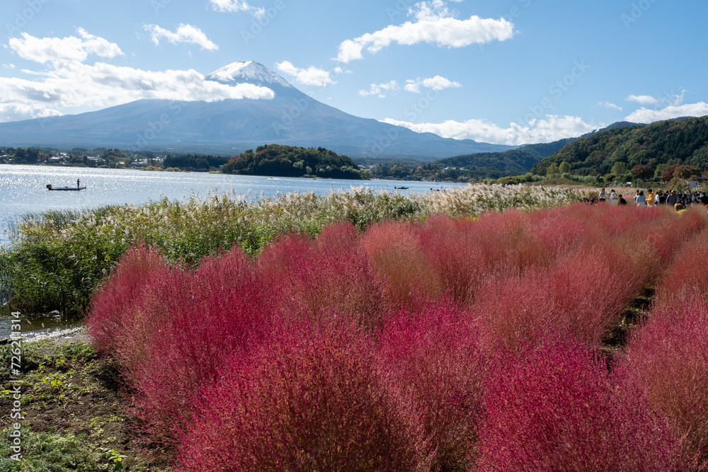 Mt Fuji on a clear day with tourists swarming Oishi Park, Lake ...