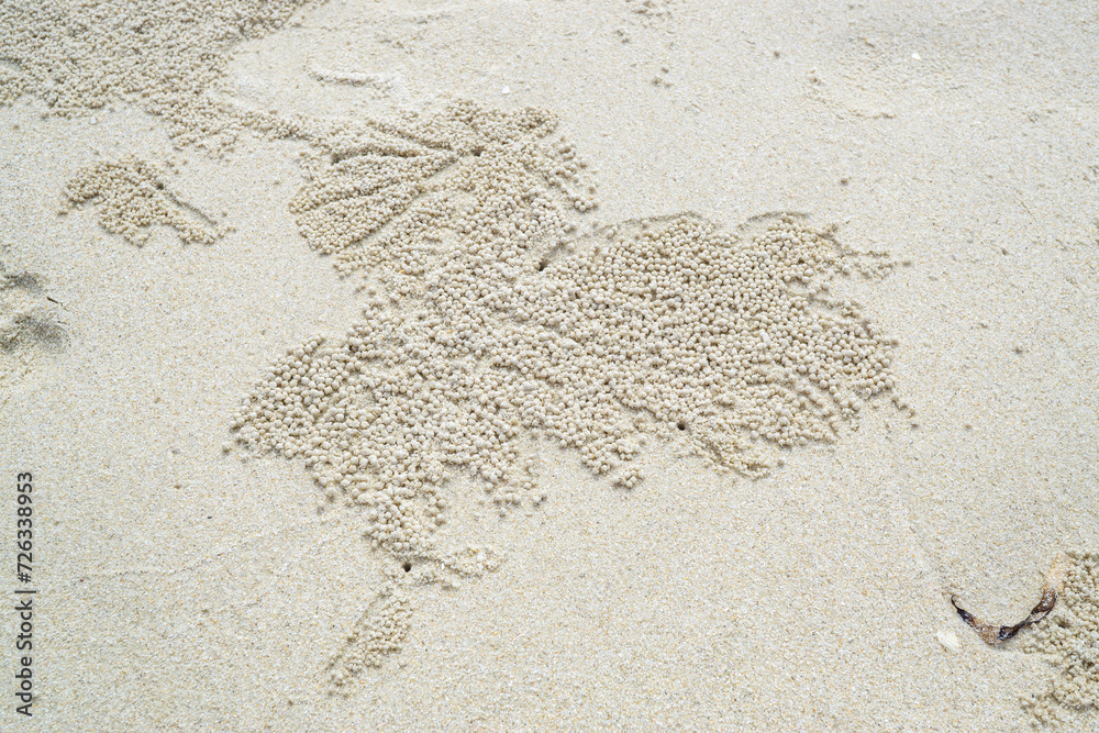 Sand bubbler Radial pattern in the sand. Crab make Sand bubbler ...