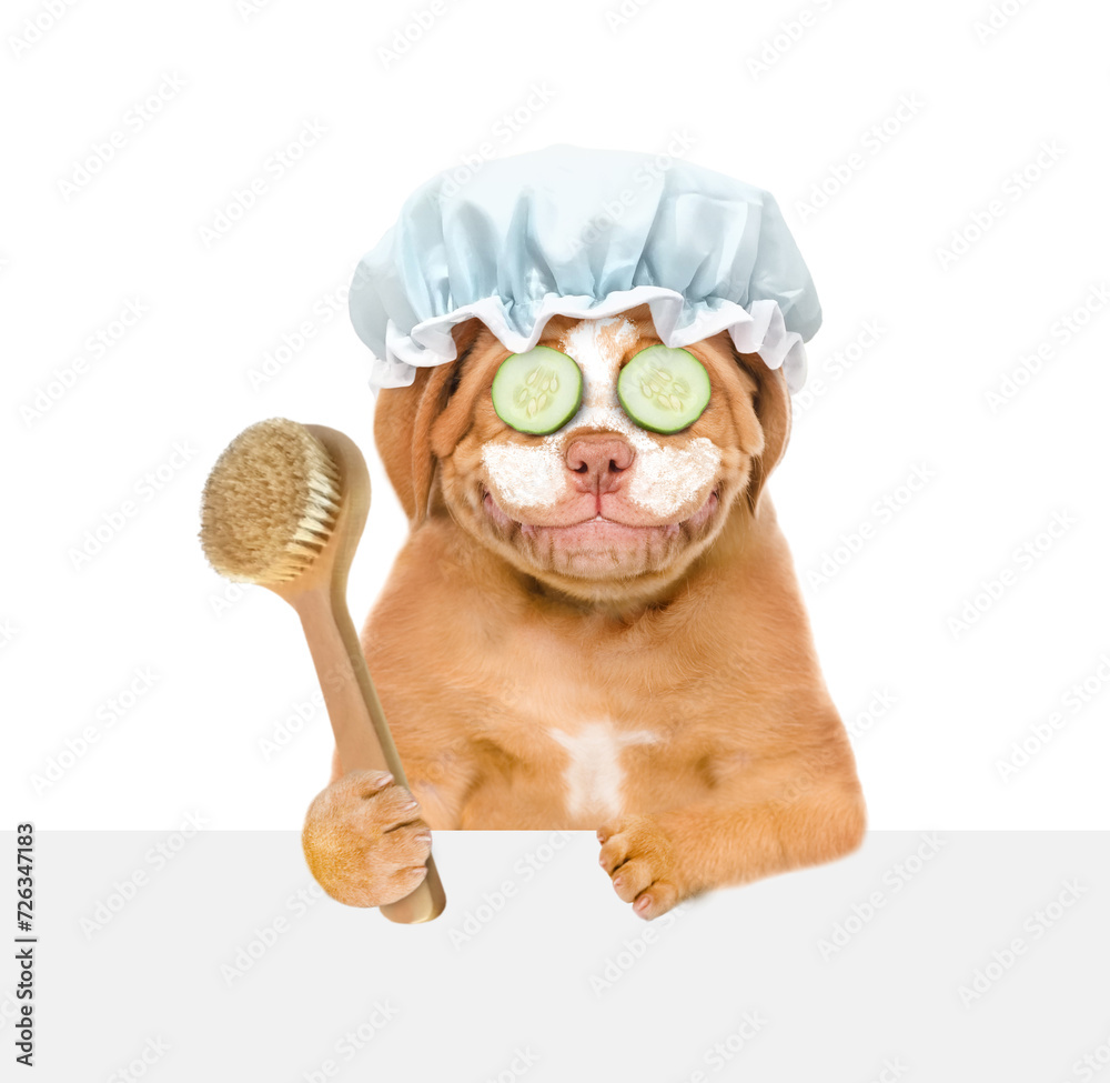 Smiling Mastiff puppy wearing shower cap with pieces of cucumber on it ...