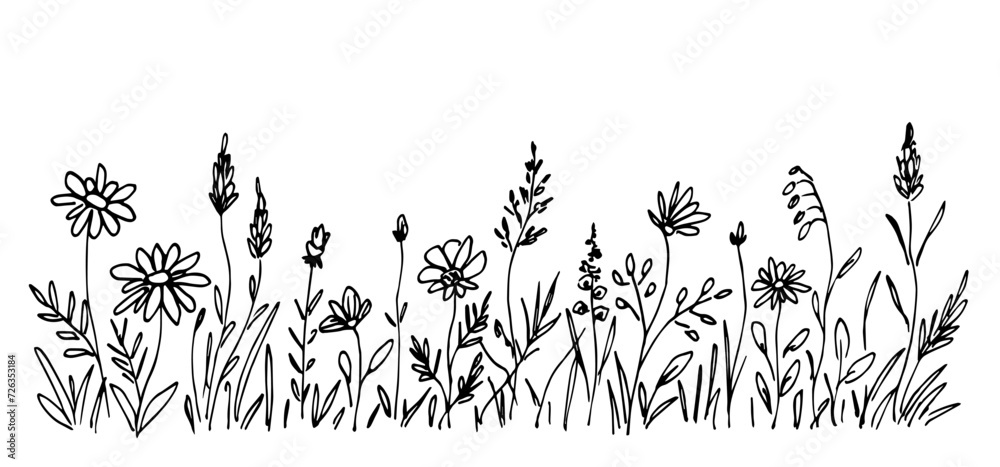 Floral border, meadow grass, wild flowers, lawn, field plants. Nature ...