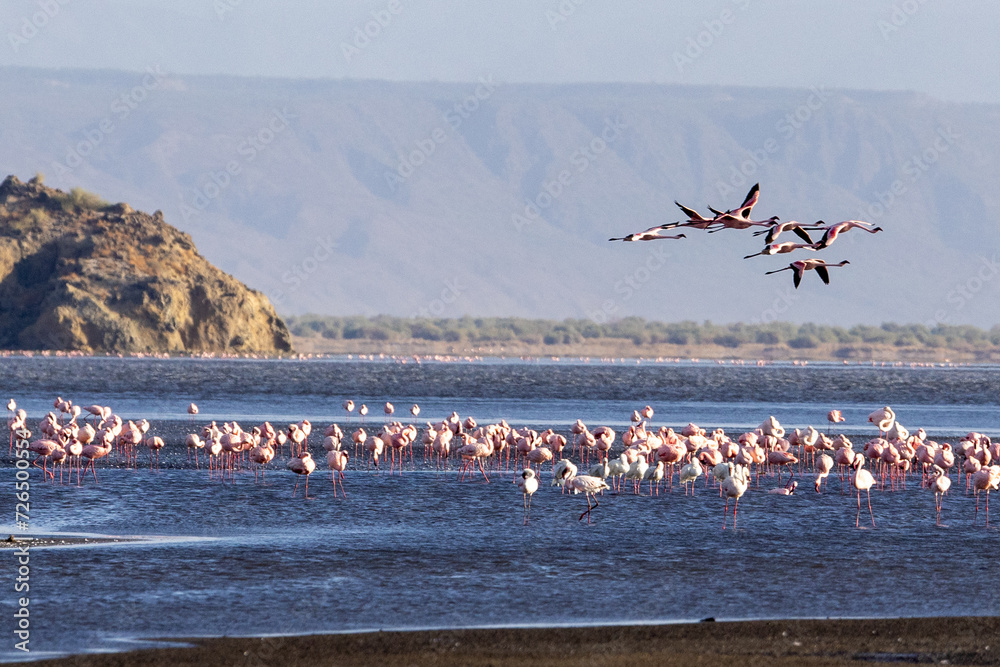 Lake Natron, the largest lake in the East African Rift Valley in ...