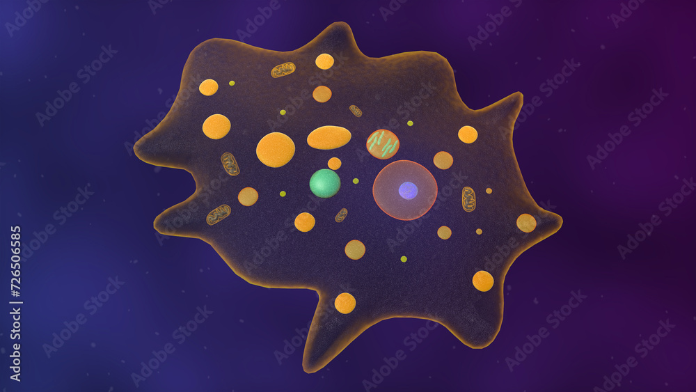 amoeba unicellular organism 3d illustration. eukaryotic organisms Stock ...
