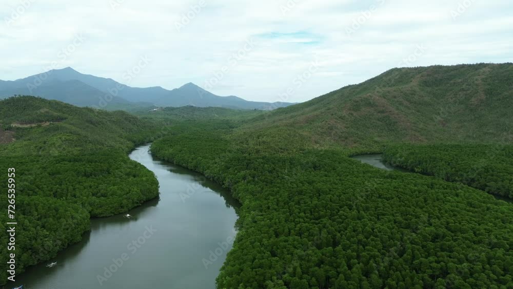 Glide rightward with a drone above Bacungan River's mangroves in ...
