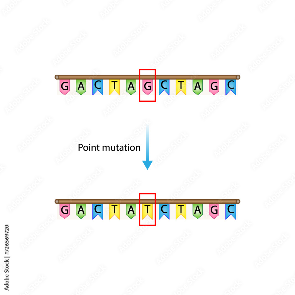 Poster Point mutation, error during DNA replication – Wall Art | UkPosters