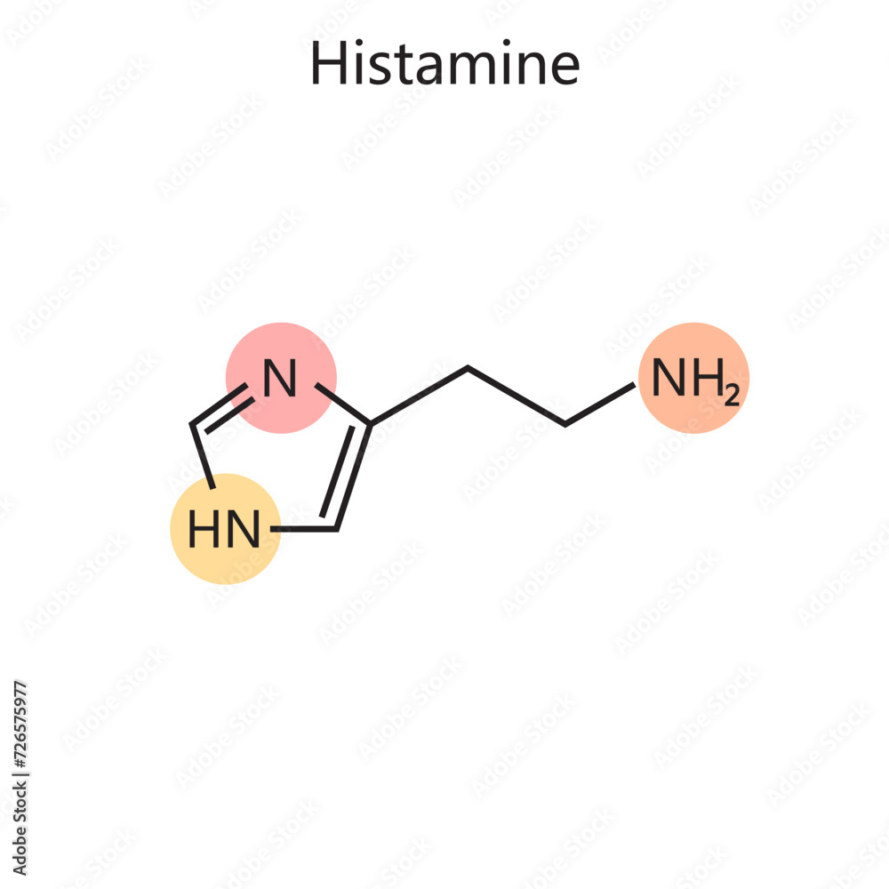 Chemical organic formula of histamine diagram hand drawn schematic ...