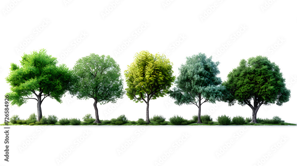 Cutout environmental trees growth shapes set transparent backgrounds 3d ...