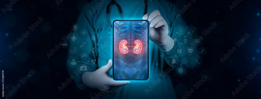 Ultrasound. X-ray to see the veins of the kidney. The doctor shows the ...