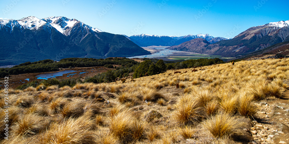 spring panorama of mountains in artur's pass national park, canterbury ...