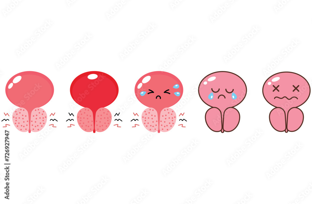 Uretra De Dibujos Animados