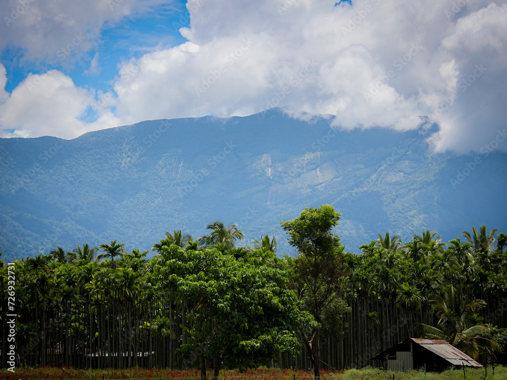 The Velliangiri Mountains part of the Nilgiri Biosphere Reserve the ...