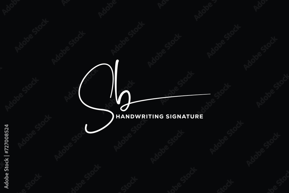 SB initials Handwriting signature logo. SB Hand drawn Calligraphy lettering Vector. SB letter ...