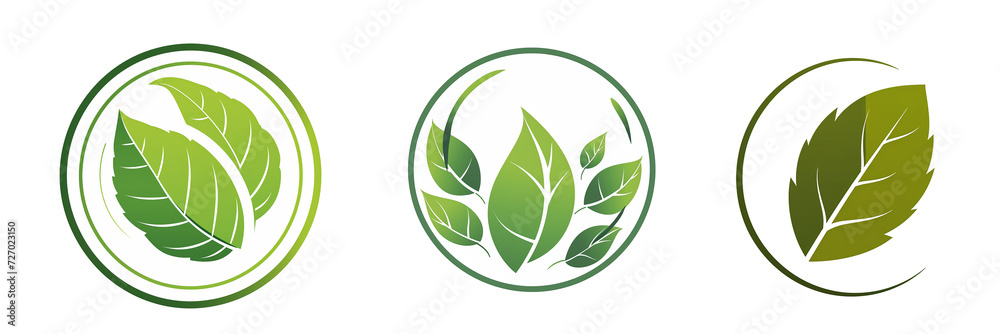 Leaf logo on transparent background png. Green nature theme logo ...