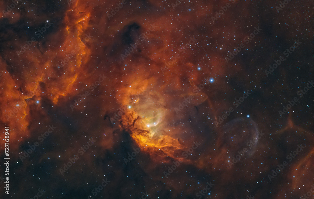 Astrophoto made with telescope of the Tulip Nebula or Sharpless 101 ...