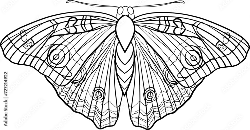 butterfly outline illustration on transparent background. Colorong book ...