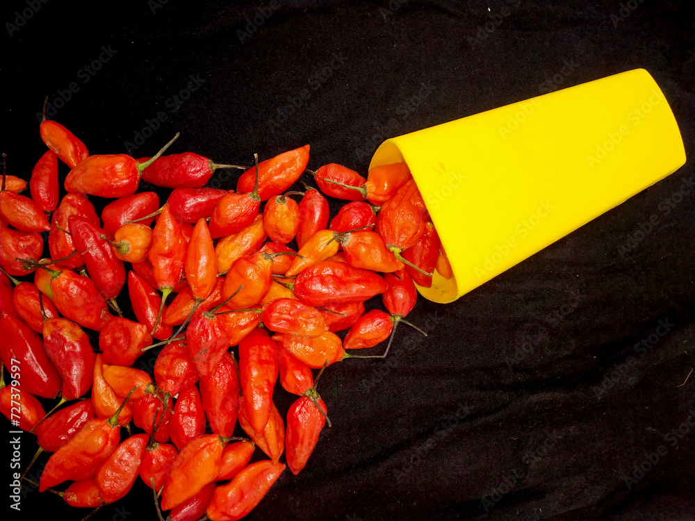 bhut jolokia ghost pepper isolated on black background. fresh Carolina ...