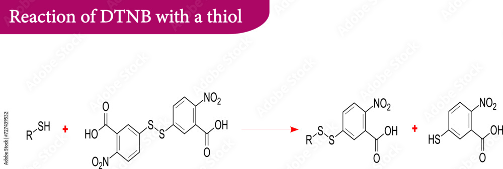 Chemical structure of DTNB , Ellman's reagent.Vector illustration ...
