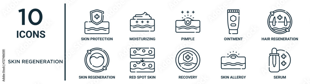Vetor de skin regeneration outline icon set such as thin line skin ...