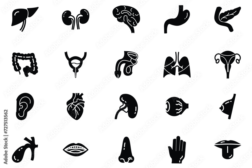 Anatomy black icon set. Containing eye, nose, mouth, ear, brain, head ...
