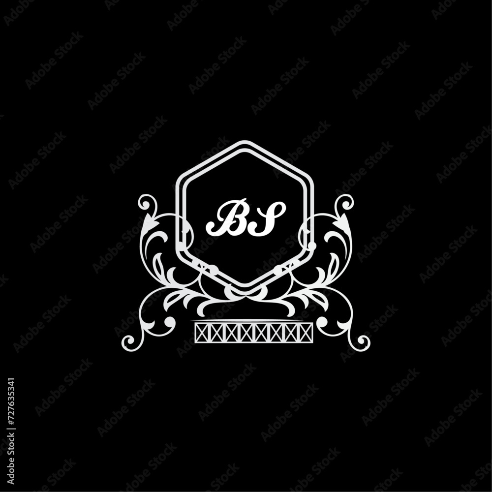 BS Letter, letter BS logo manual elegant minimalist signature logotype ...