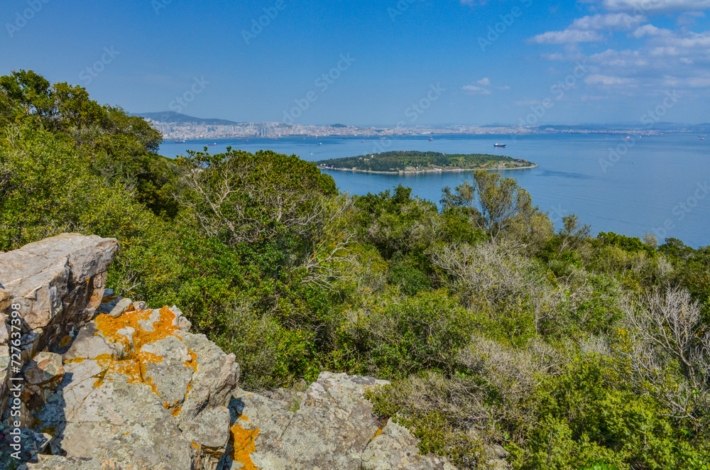 Sedef Island and Marmara sea scenic view from Buyukada National Park ...