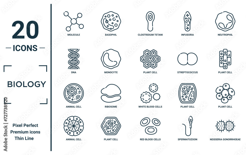 biology linear icon set. includes thin line molecule, dna, animal cell ...