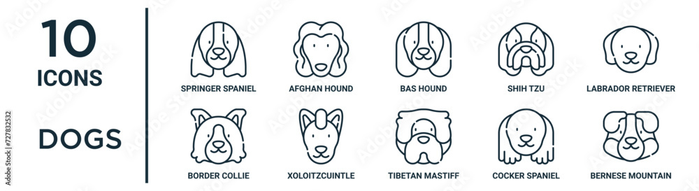 Vecteur Stock dogs outline icon set such as thin line springer spaniel ...