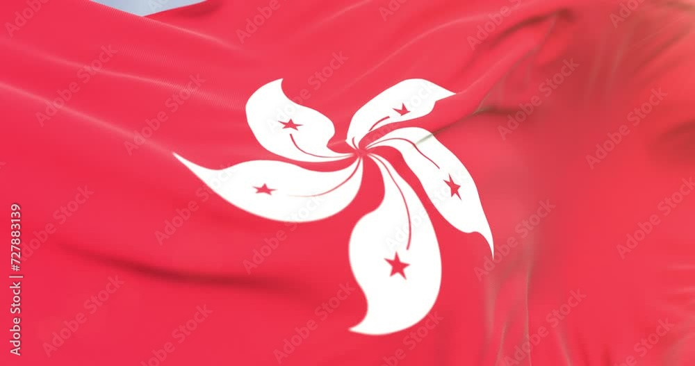 Realistic Hong Kong Flag Waving In The Wind. Slow Motion Hong Kong Flag Close Up. Seamless Loop ...