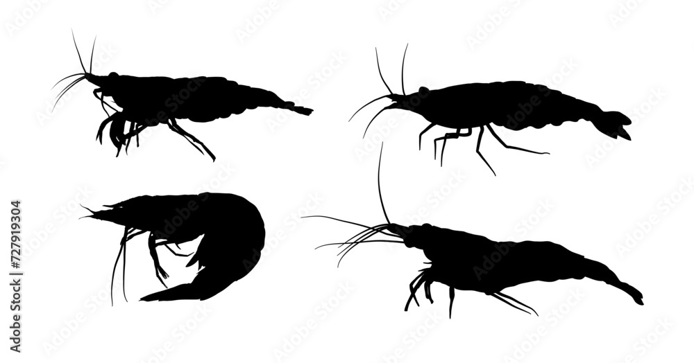 Set of shrimp silhouettes - vector illustration Stock Vector | Adobe Stock